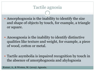 Agnosia | PPTX