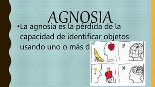 Agnosia.pptx