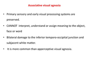 Visual Agnosia