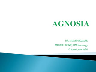 AGNOSIA | PPTX