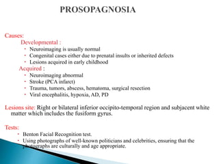 AGNOSIA | PPTX