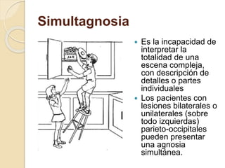 Agnosias neuropsicologia Psicofisiologia | PPTX