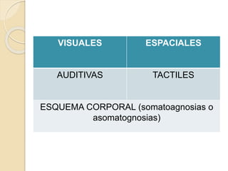 Agnosias neuropsicologia Psicofisiologia | PPTX