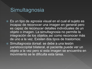 Agnosias neuropsicologia Psicofisiologia | PPTX