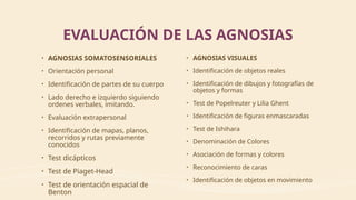 DIAPOSITIVAS SOBRE LAS AGNOSIAS Y LOS TIPOS | PPTX