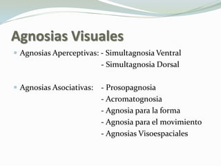 Agnosias y su impacto en las AVD | PPTX