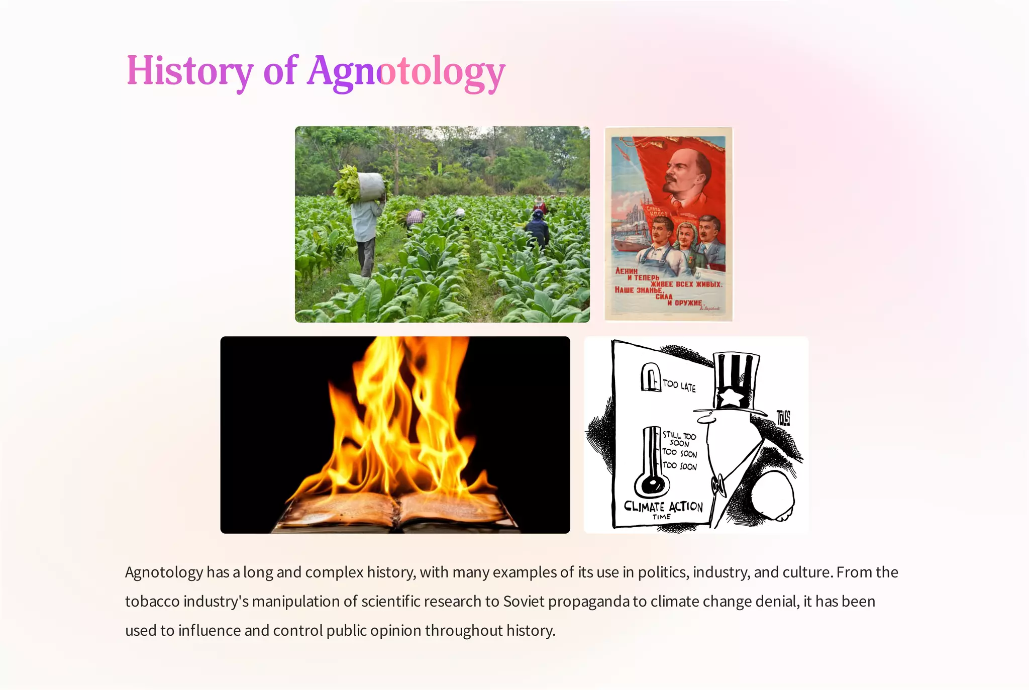 Agnotology | PDF