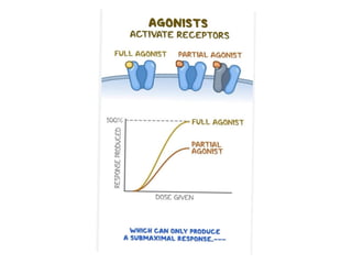 Agonist for medical and para medical,nursing, pharmacy, pharmacology | PPT