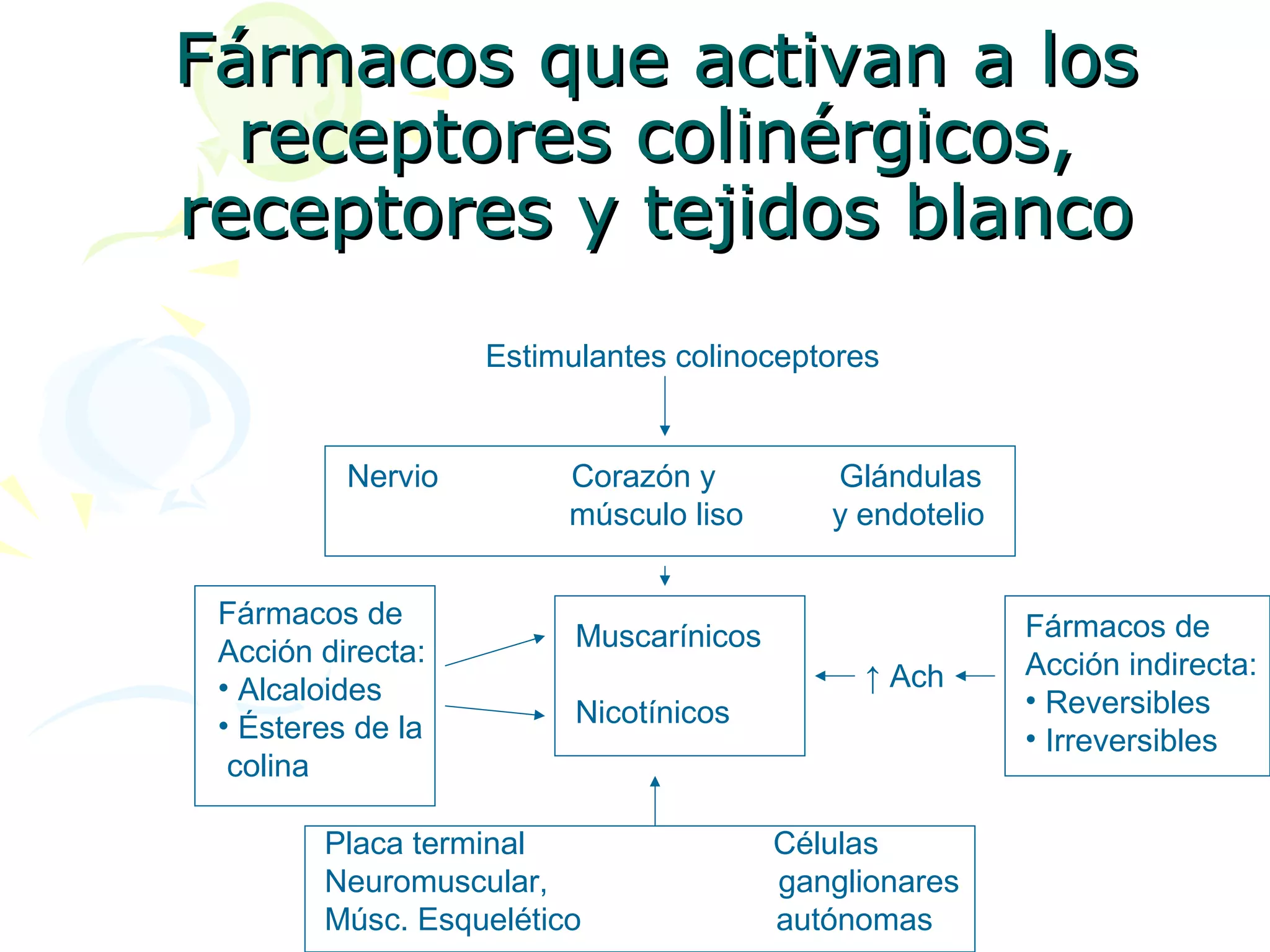 Agonistas y antagonistas colinérgicos | PPT