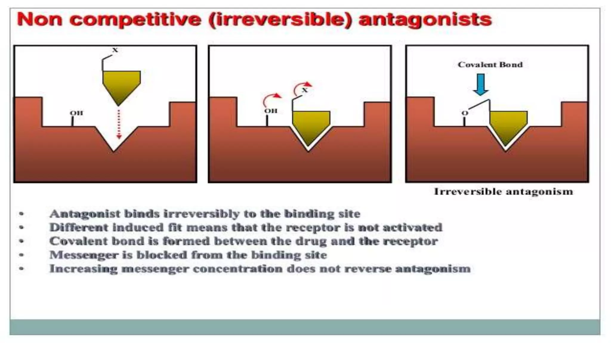 Agonists and antagonists | PPTX