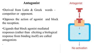Agonists and antagonists | PPTX
