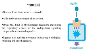 Agonists and antagonists | PPT
