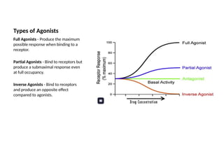 Agonists and Antagonists. B.Pharmacy 3rd sem | PPTX