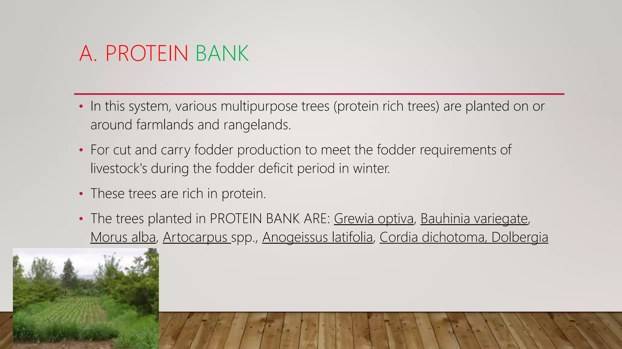 CLASSIFICATION OF ALTERNATE LAND USE SYSTEM | PPTX