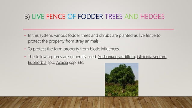 CLASSIFICATION OF ALTERNATE LAND USE SYSTEM | PPTX | Agriculture ...