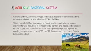CLASSIFICATION OF ALTERNATE LAND USE SYSTEM | PPTX