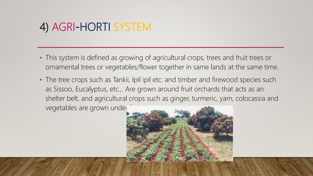 CLASSIFICATION OF ALTERNATE LAND USE SYSTEM | PPTX | Agriculture ...