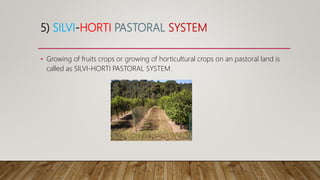 CLASSIFICATION OF ALTERNATE LAND USE SYSTEM | PPTX