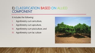 CLASSIFICATION OF ALTERNATE LAND USE SYSTEM | PPTX