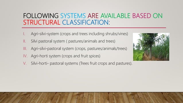 CLASSIFICATION OF ALTERNATE LAND USE SYSTEM | PPTX | Agriculture ...