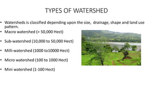 WATERSHED MANAGEMENT | PPT