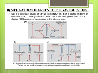 BIOCHAR: PREPARATION AND IT'S ROLE IN CLIMATE CHANGE MITIGATION | PPTX