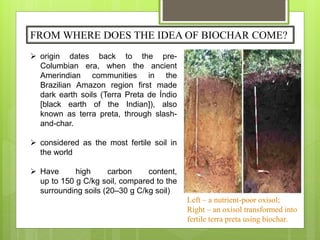 BIOCHAR: PREPARATION AND IT'S ROLE IN CLIMATE CHANGE MITIGATION | PPTX