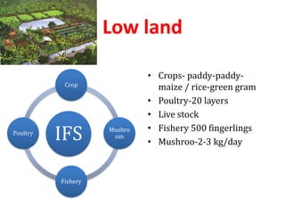 interaction of different IFS components on farm profitability,soil ...