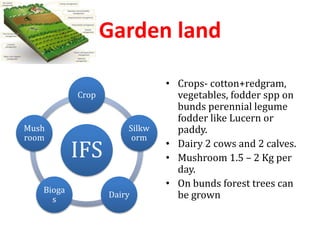 interaction of different IFS components on farm profitability,soil ...