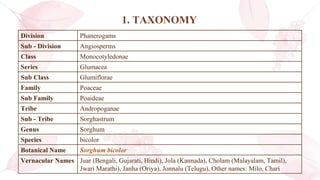 AGR1.ppt