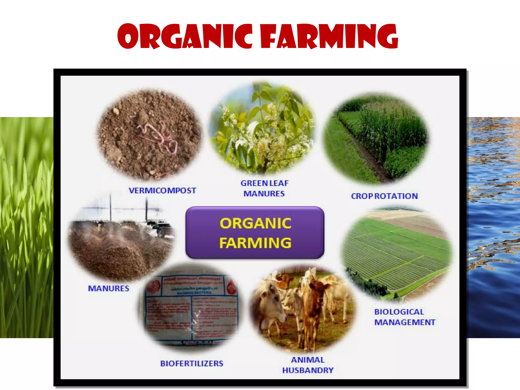 Organic Farming and its Principles | PPT