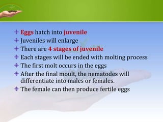 AGR154 CHAPTER 4 - NEMATODES | PPT