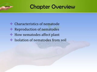 AGR154 CHAPTER 4 - NEMATODES | PPT