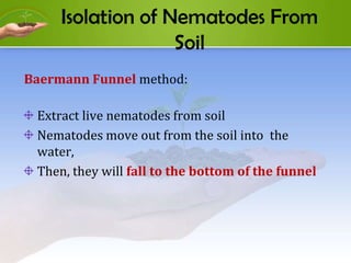 AGR154 CHAPTER 4 - NEMATODES | PPT