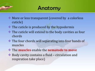 AGR154 CHAPTER 4 - NEMATODES | PPT
