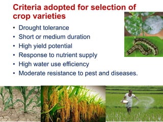 AGR 302 Lec 4 Rainfed Agriculture .....pptx
