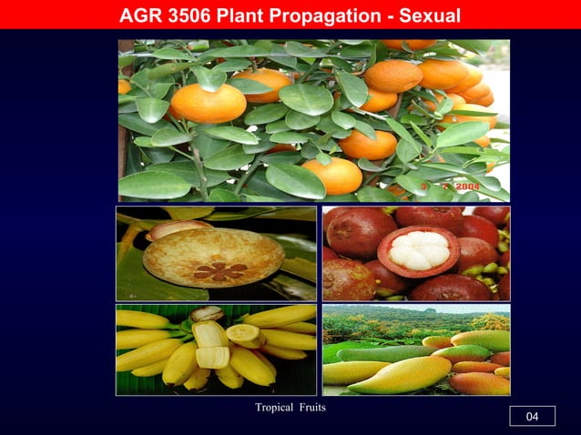 Agr+3506+l8+sexual+propagation | PPT