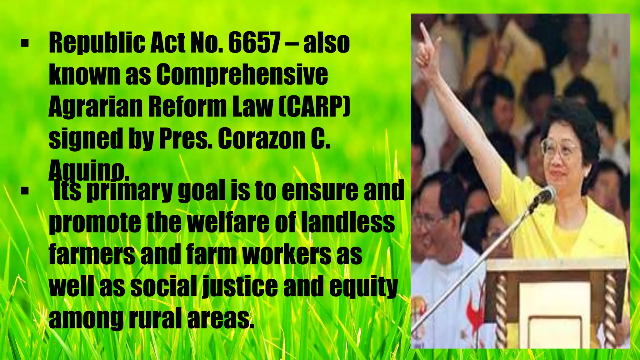 Agrarian Reform in the Philippines | PPTX