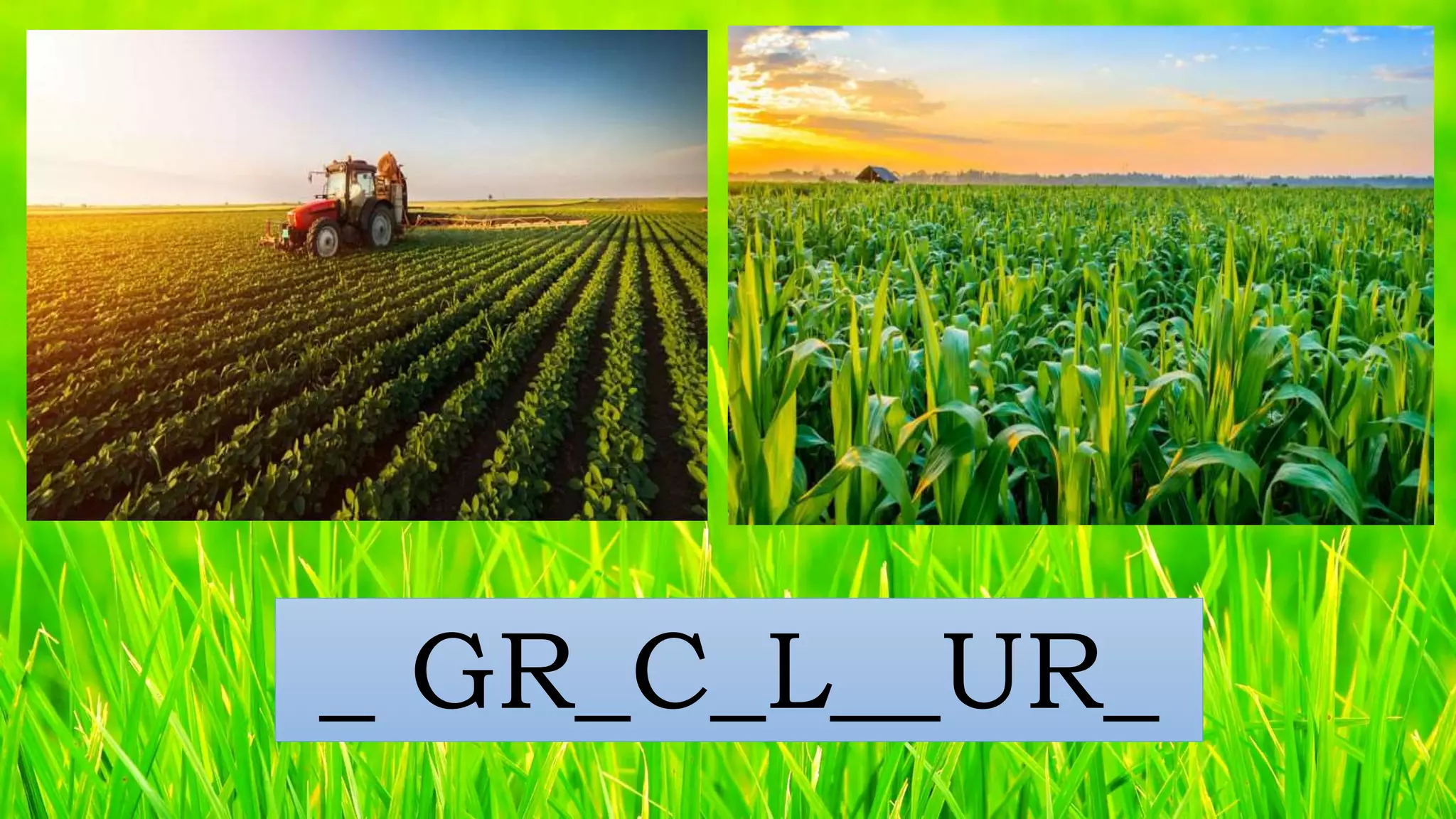 Agrarian Reform in the Philippines | PPTX