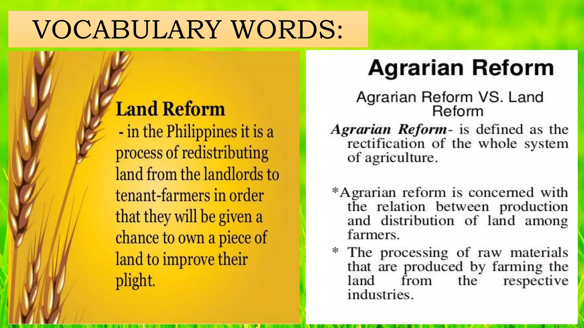 Agrarian Reform in the Philippines | PPTX