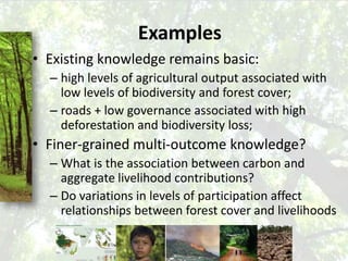 Carbon and Livelihood Outcomes on the Forest-Farm Frontier | PPTX