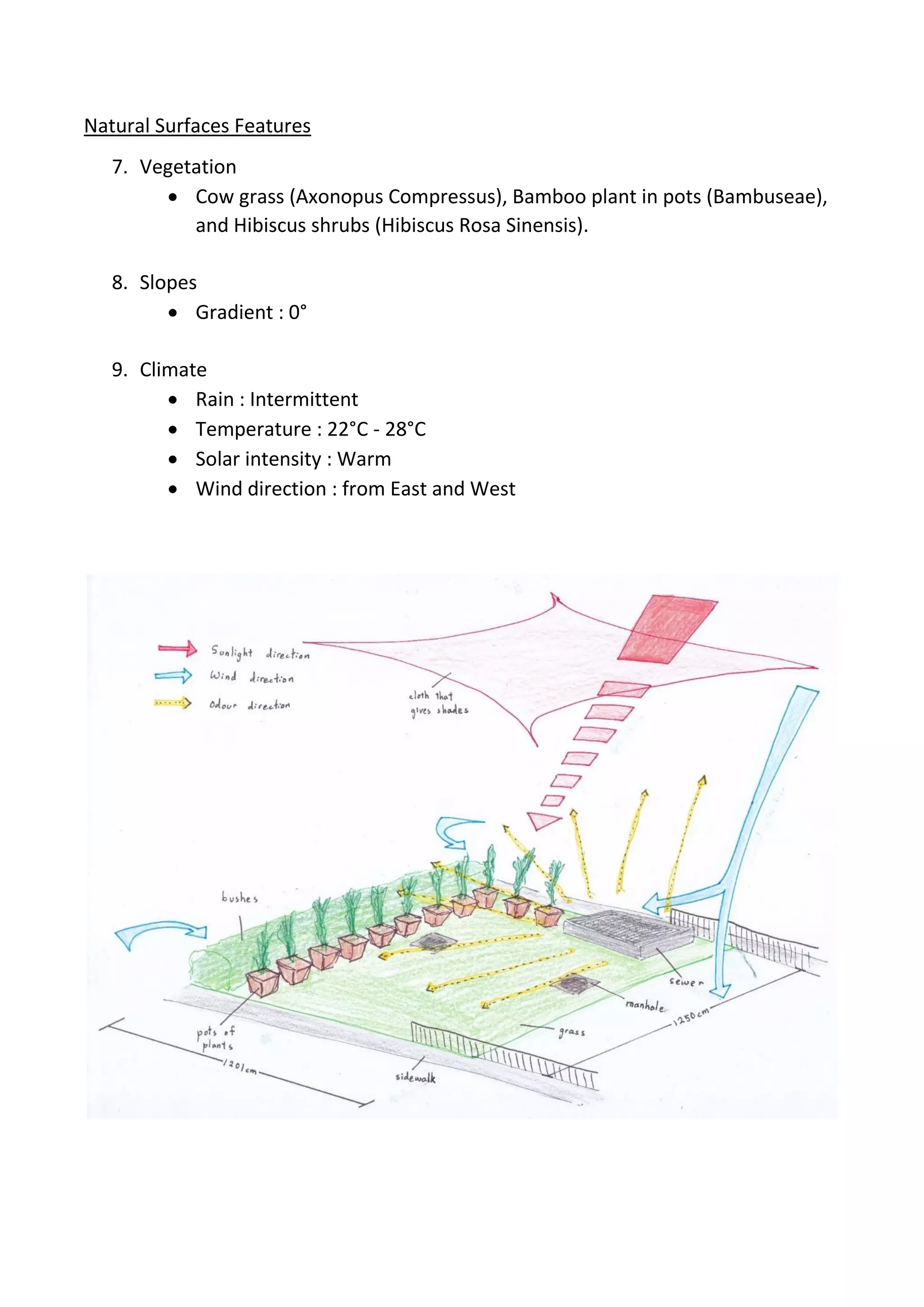 CL Final Assignment Report Part A | PDF