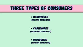 THE FOOD CHAIN | PDF