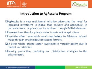 Ag Results Aflasafe Project One | PPTX