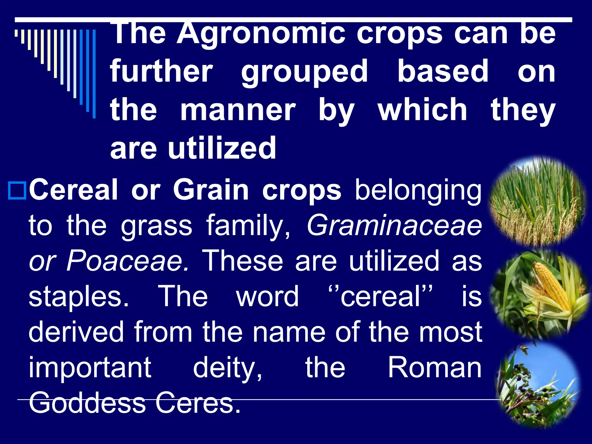 AGRI.-105-PRACTICES-OF-CROP-PRODUCTION.pdf