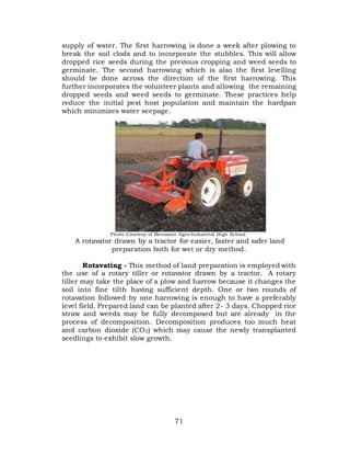 Agri crop grade 10 lm | DOCX