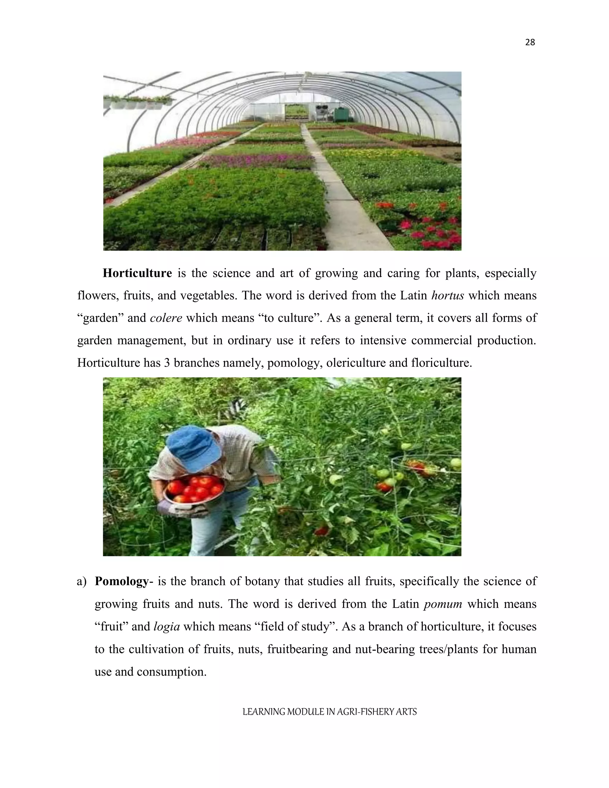 AGRI-FISHERY-CHAPTER-1.docx