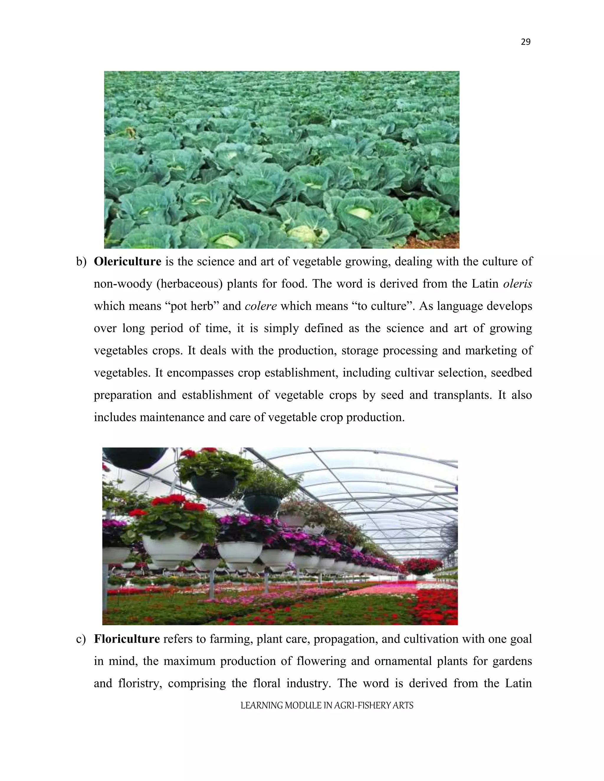 AGRI-FISHERY-CHAPTER-1.docx