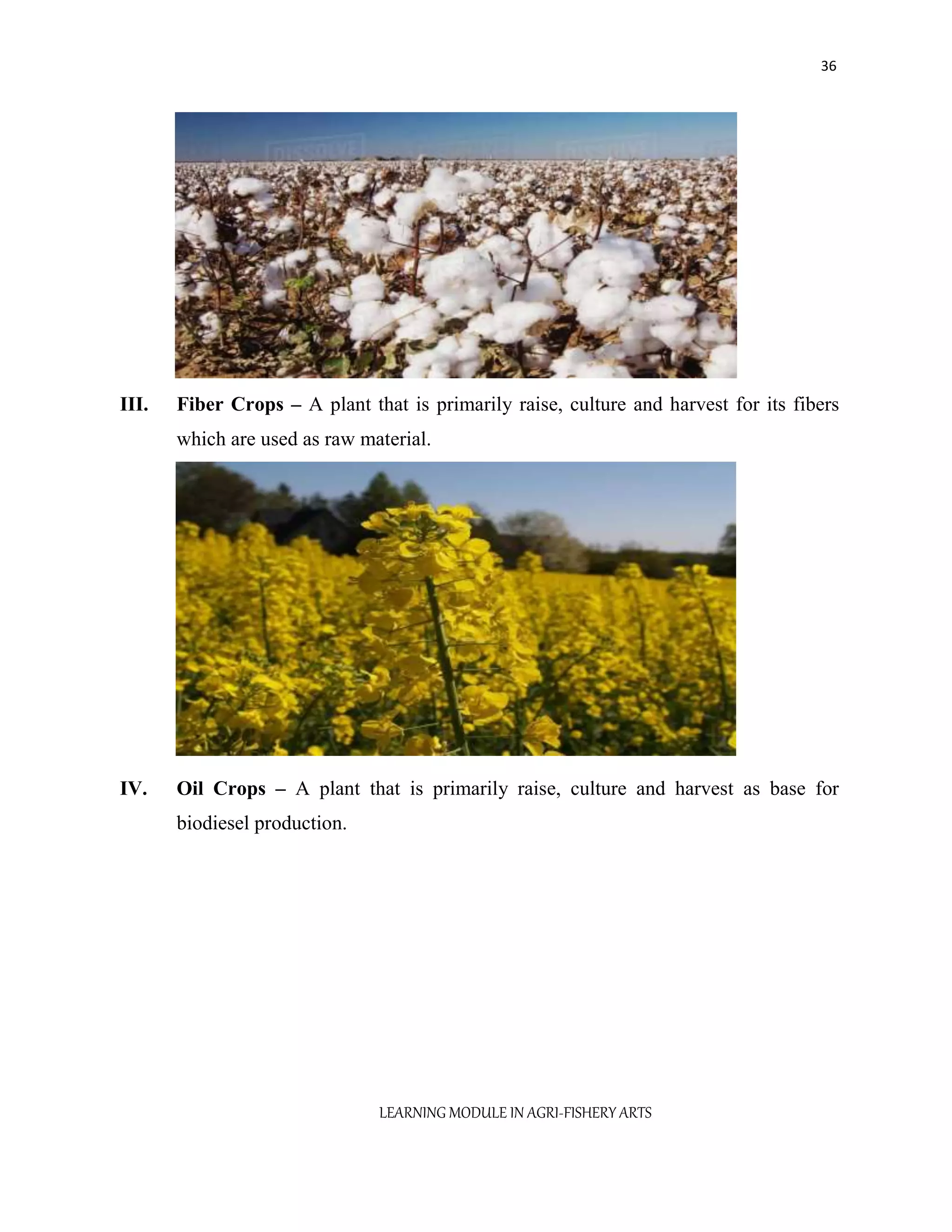 AGRI-FISHERY-CHAPTER-1.docx