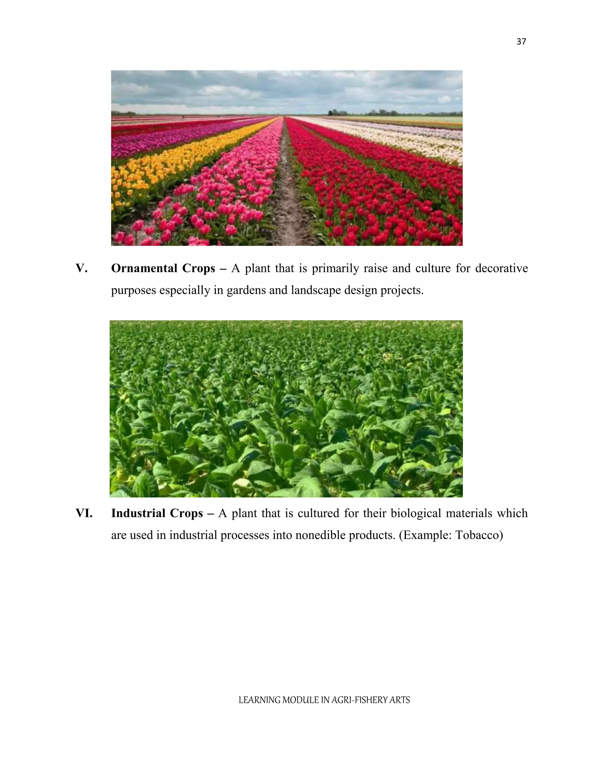 AGRI-FISHERY-CHAPTER-1.docx